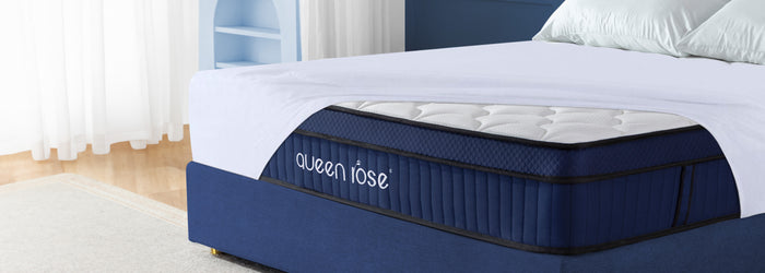 QUEEN ROSE® | Cozy, Never Change